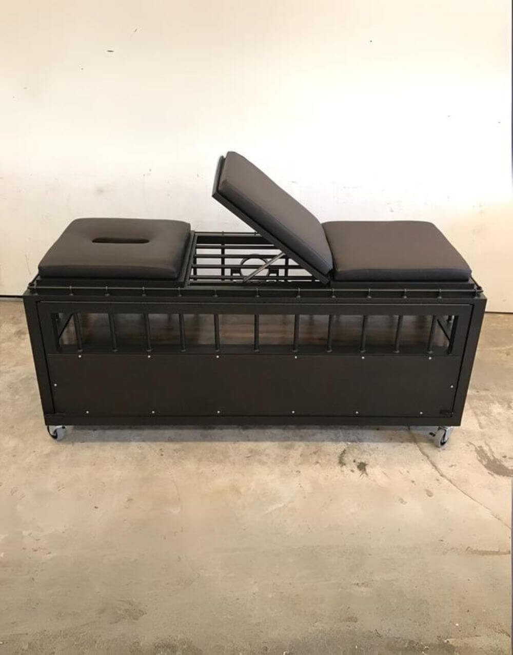 Isolation Cage: Premium BDSM Furniture by Metalbound