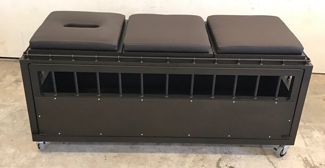 Isolation Cage: Premium BDSM Furniture by Metalbound